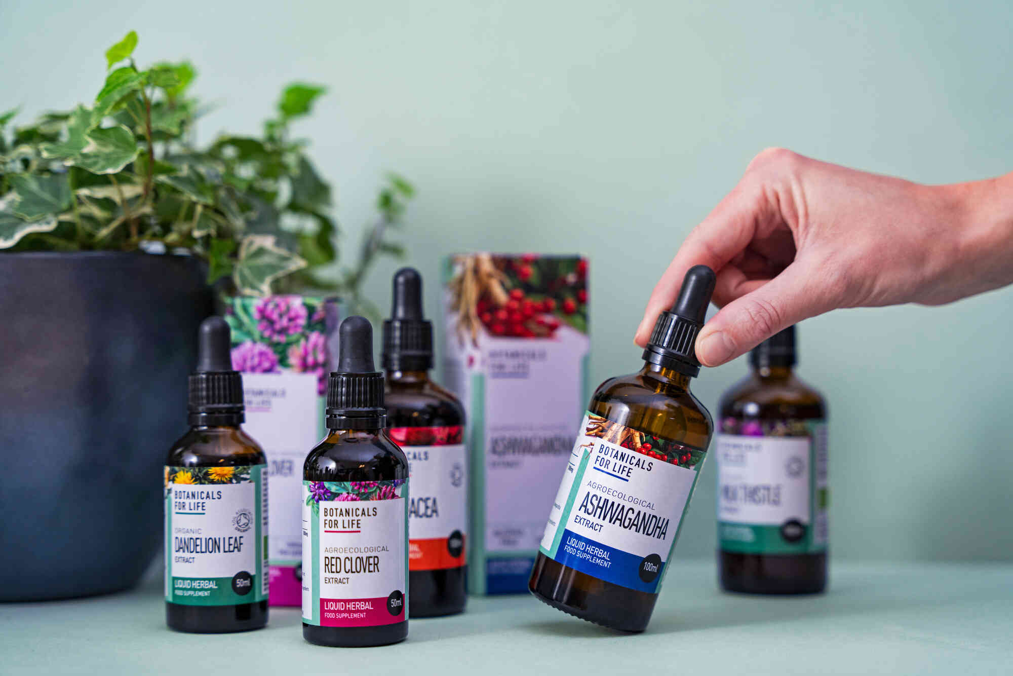 Bio Extrakt z Drmku obecného | Botanicals for Life | pravebio.cz